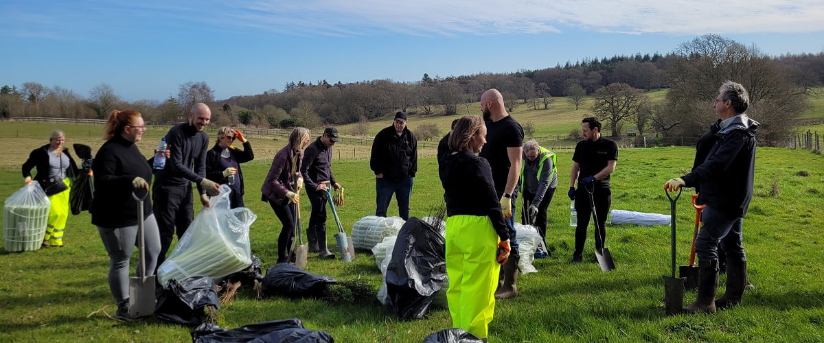 Our team plants 200 metres of new native hedgerow in the Surrey Hills ...