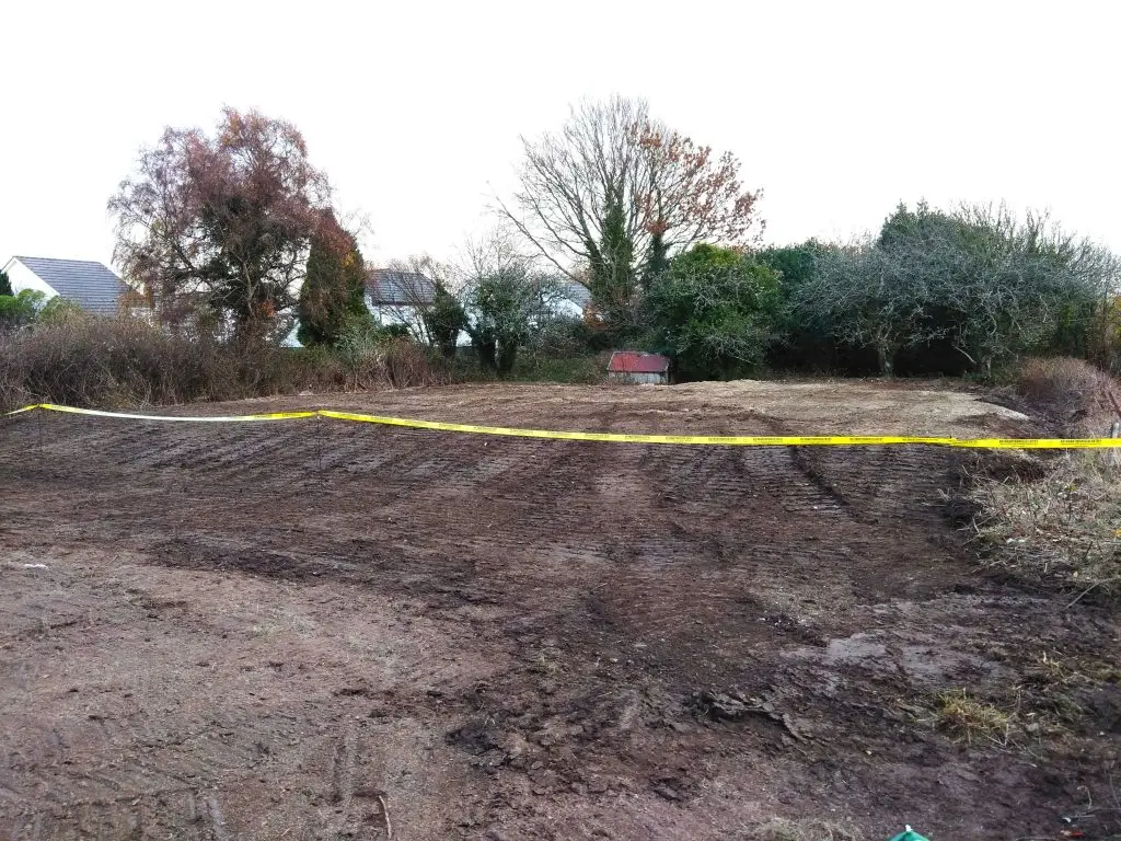 Land Remediation Tax Relief and Japanese Knotweed - Environet UK